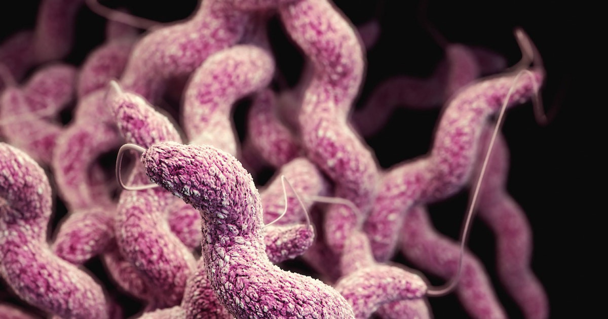 Germ theory is not ‘a lie’ – Full Fact