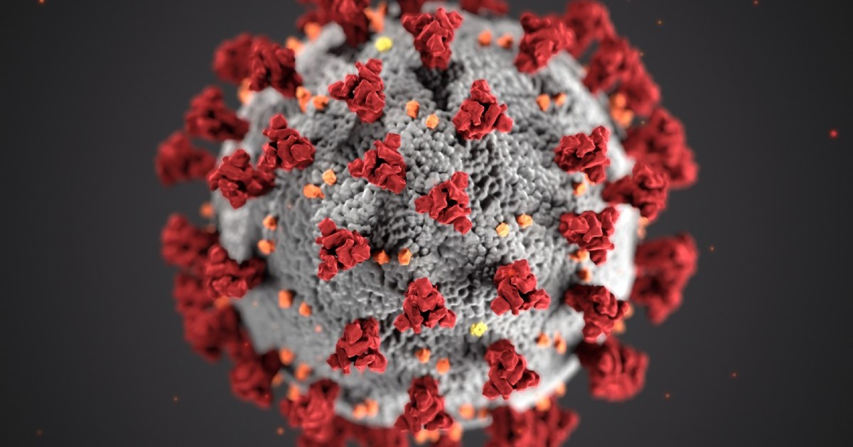 Viruses are real and you can ‘catch’ them – Full Fact