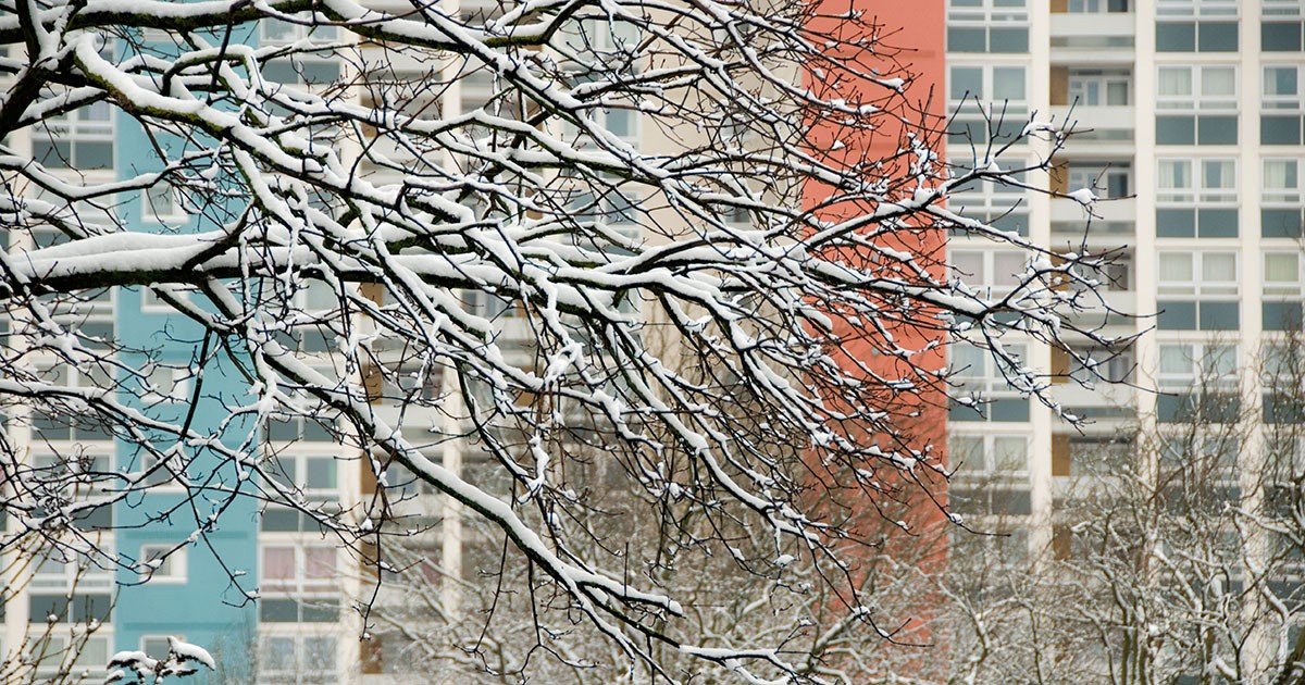 What help is available for homeless people sleeping outside in cold ...