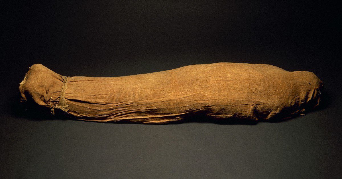 Picture of ‘giant mummy’ is a case of forced perspective – Full Fact