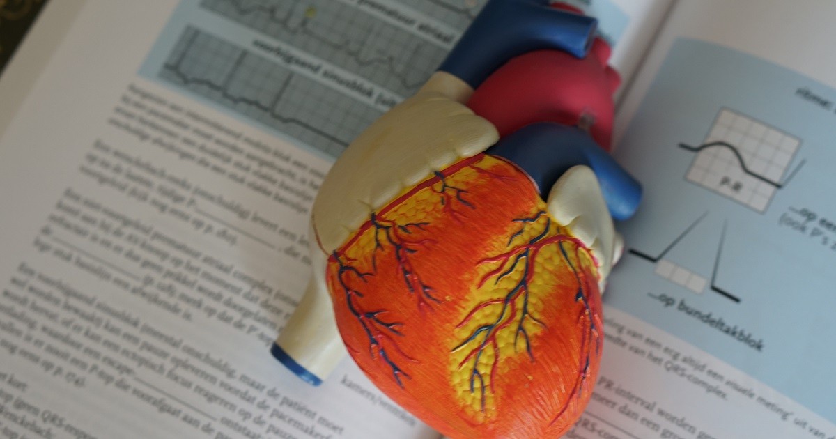 Articles about heart attack risks do not show causality – Full Fact