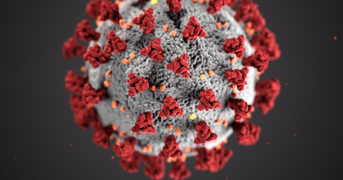 Viruses are real and you can ‘catch’ them – Full Fact
