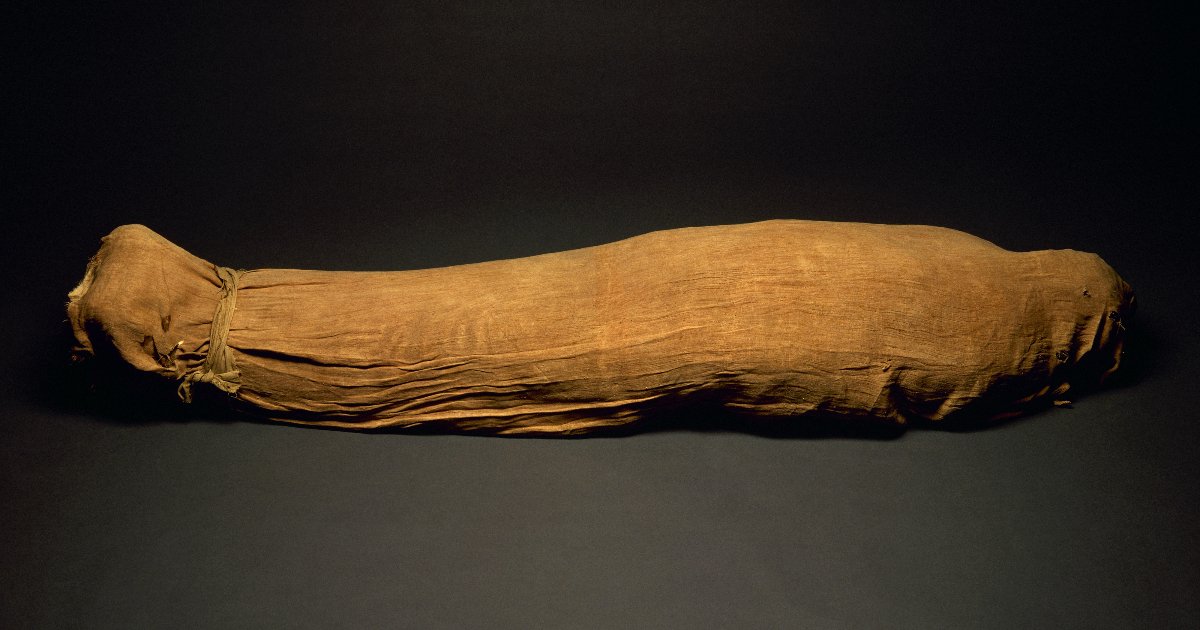 Picture of ‘giant mummy’ is a case of forced perspective – Full Fact
