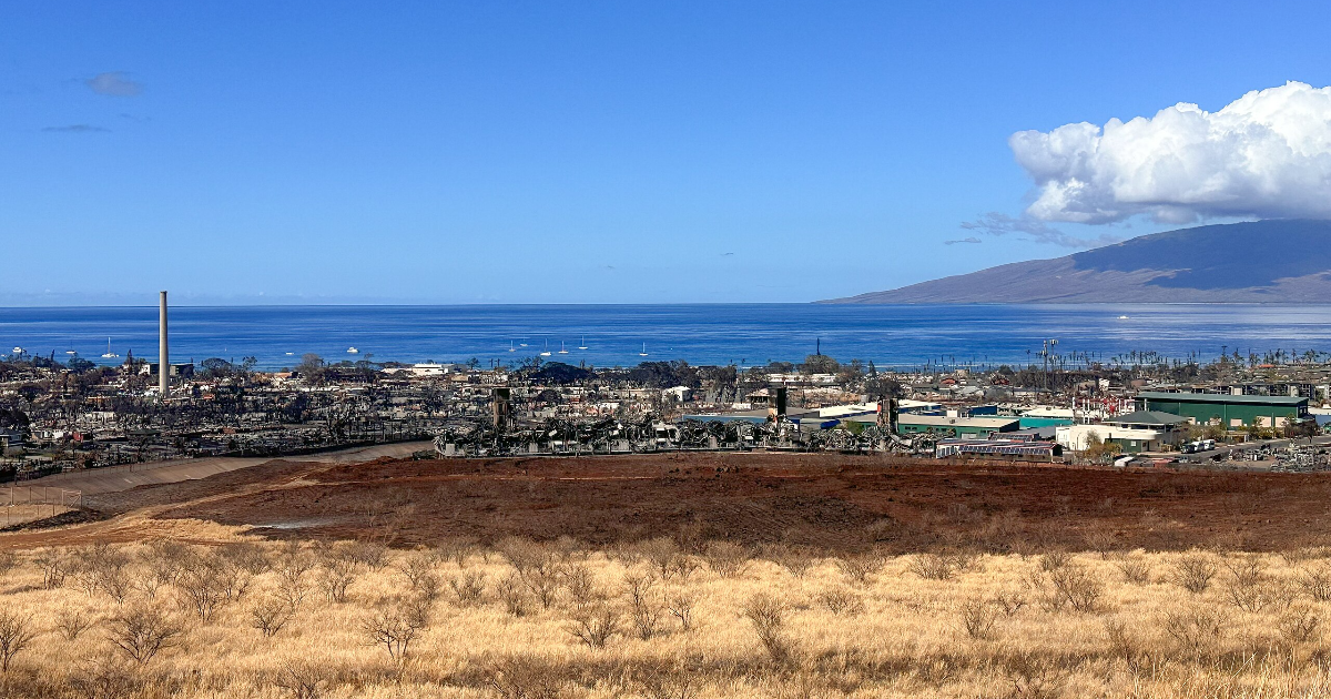 Maui fire books on Amazon don’t prove disaster was pre-planned – Full Fact